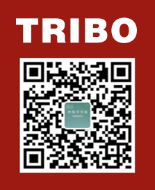 Progress of Rain Erosion for IR Windows and Domes-SciEngine